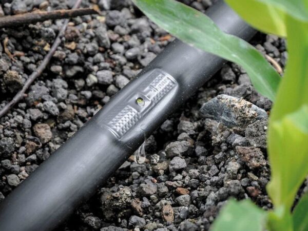 Dicla Horticulture - Dicla Horticulture